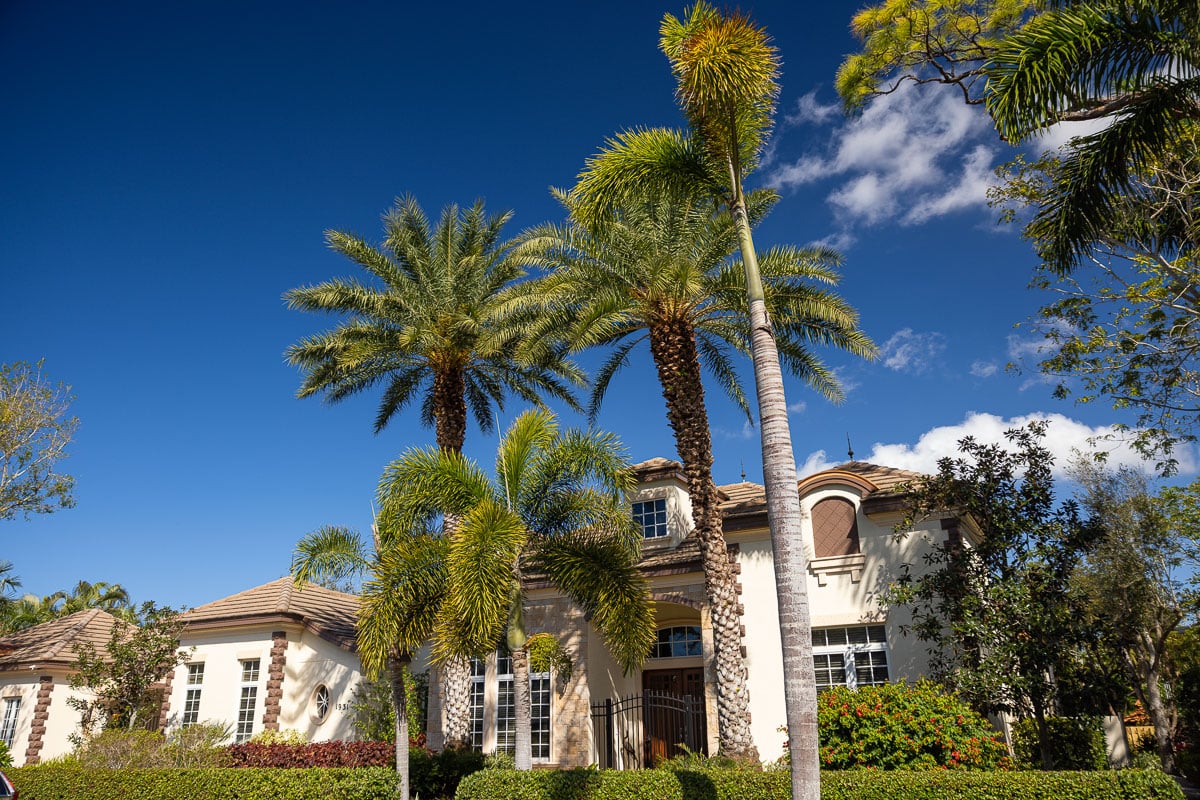 5 Tricks to Landscaping with Palm Trees Near Sarasota FL