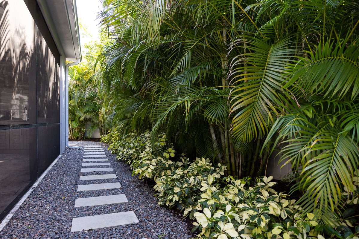 Top 7 Tropical Plants to Add to Your Florida Landscape