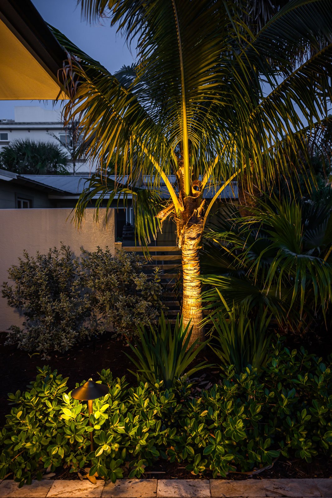 5 Outdoor Lighting Options for a Tropical Oasis