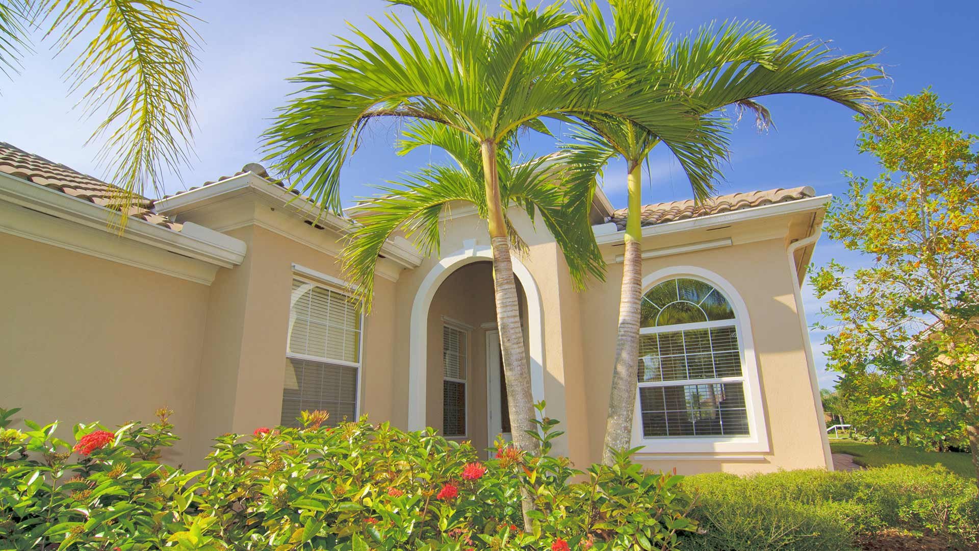 5 Tricks to Landscaping with Palm Trees Near Sarasota FL