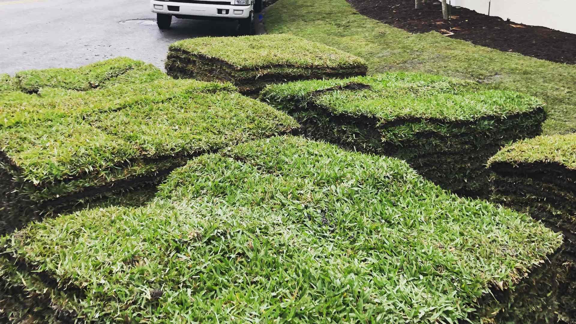 The Best Grass Type for Sandy Soil