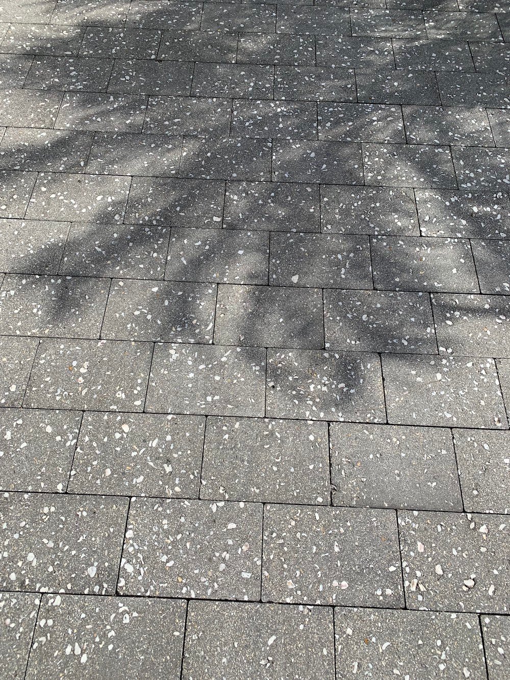 Best Paver Options for Your Florida Patio