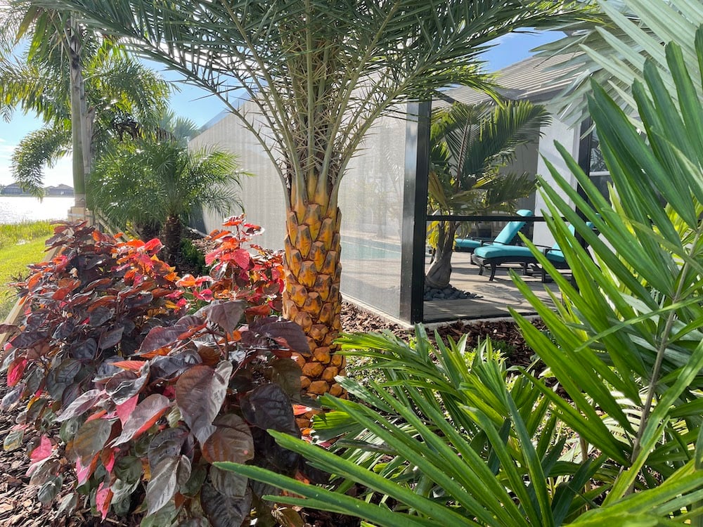 13 Ways to Use Color and Texture in Your Landscape Design